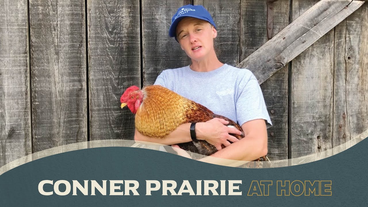 Conner Prairie - Monday Meet & Greets - Encounters with Animals ...