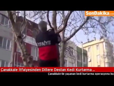 Çanakkale İtfaiyesinden Kedi Kurtarma Operasyonu