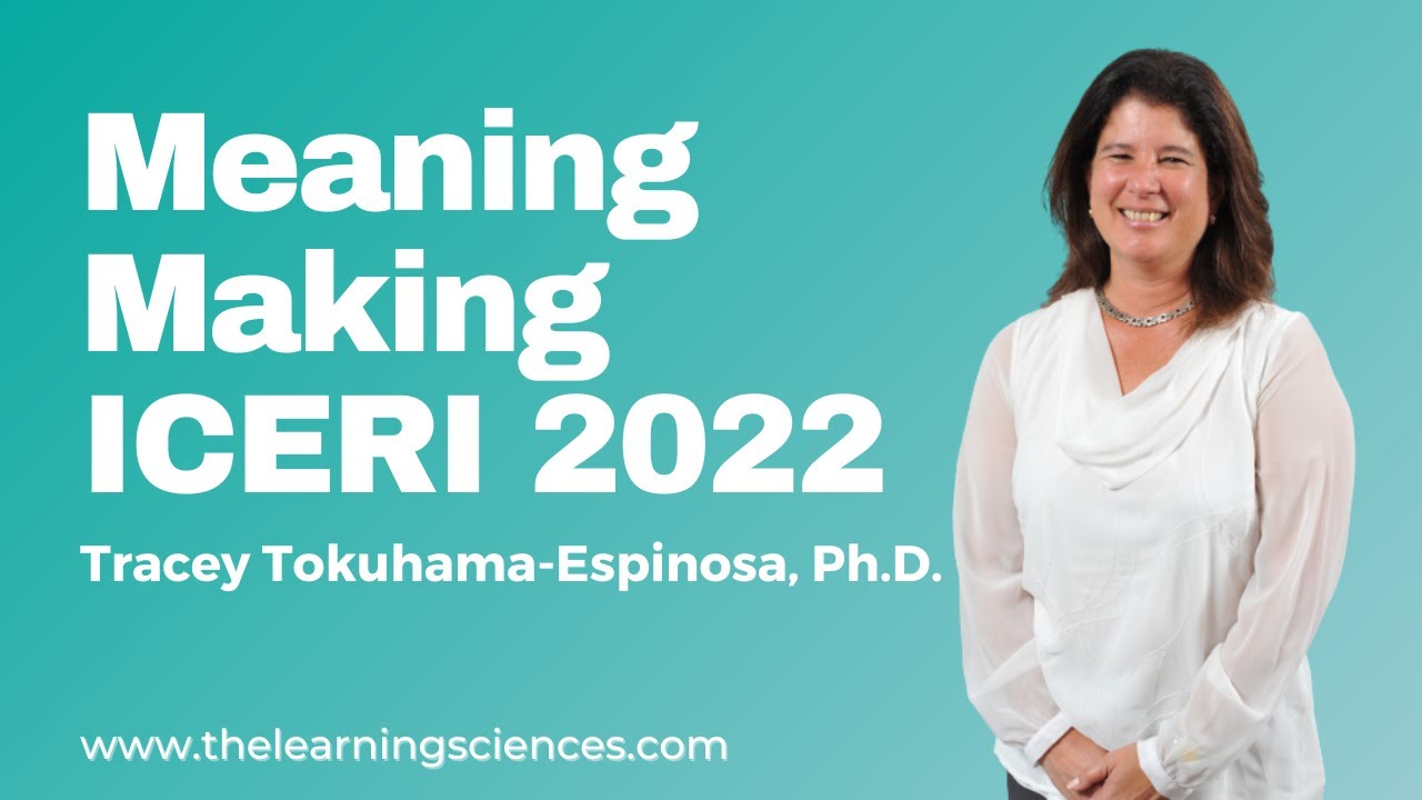 What Every University Professor Should Know About Meaning Making ...