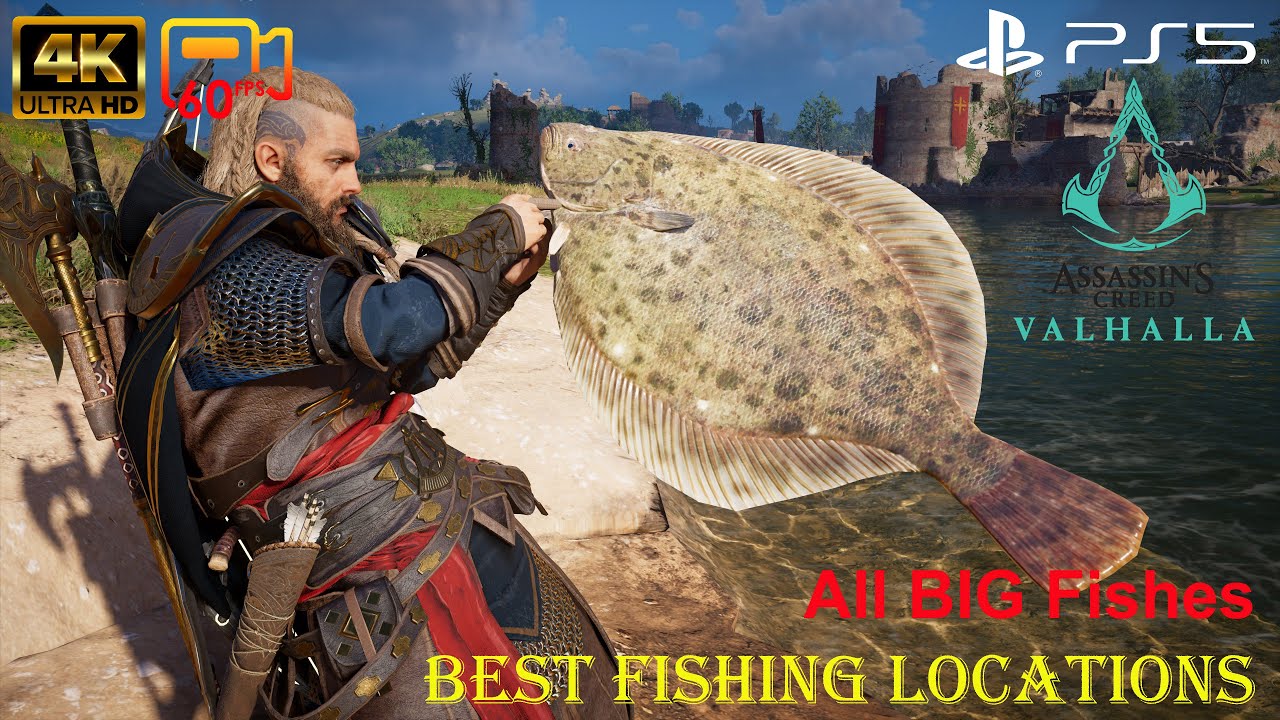 All Big Fishes - Best Fishing Locations - YouTube