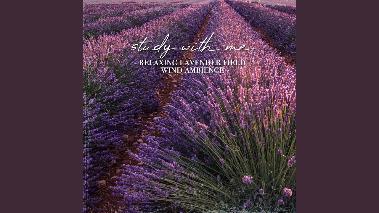 Relaxing Lavender Field Wind Ambience, Pt. 1 - YouTube