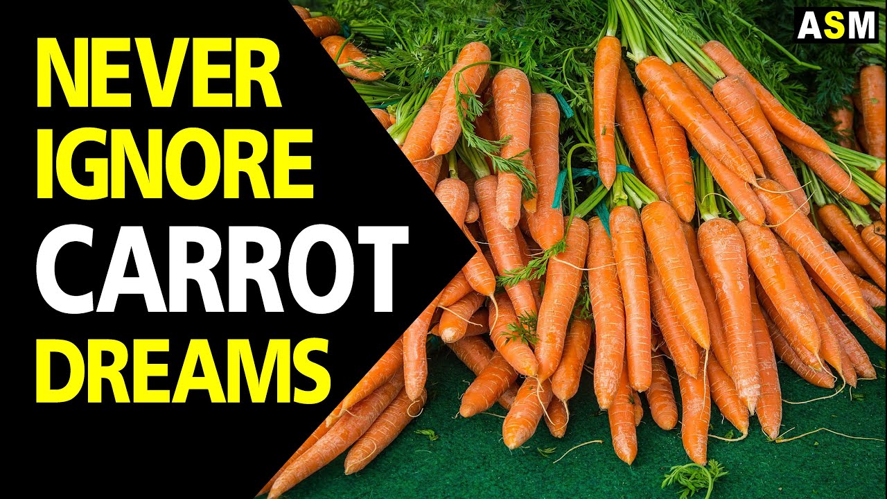 What Does Carrot Dream Meaning Dreaming Of Carrots Carrot Dream What Does Carrot Dream Meaning Dreaming Of Carrots Carrot Dream