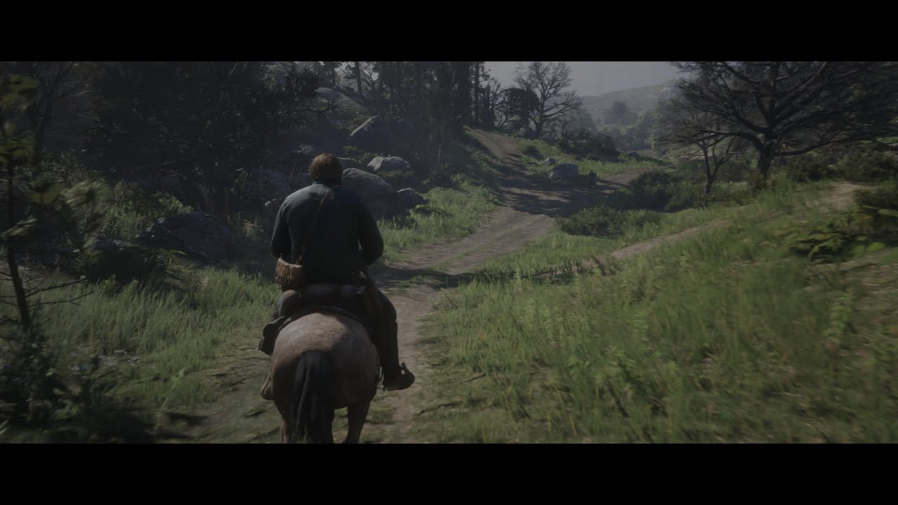 Red Dead Redemption 2 - Chapter 2: Horseshoe Overlook - YouTube