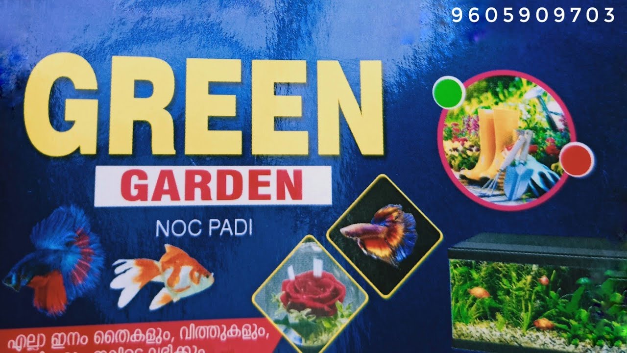 GREEN garden [noc padi] no:9605909703 - YouTube