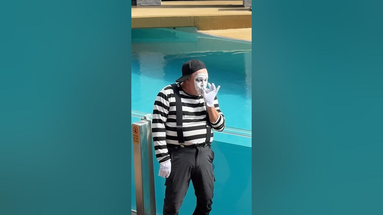 Tom Mime Seaworld Reveals What Happened ðĪð Seaworldmime Youtube