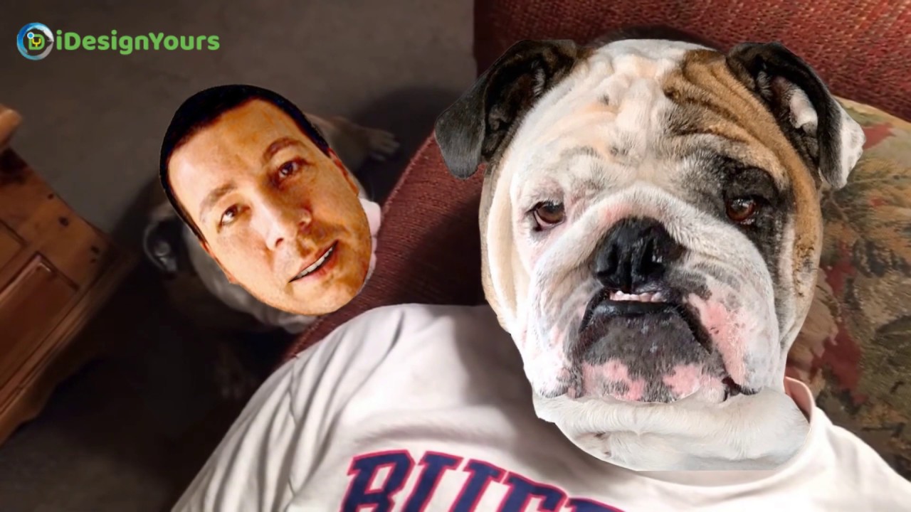 reuben the bulldog and mike - YouTube