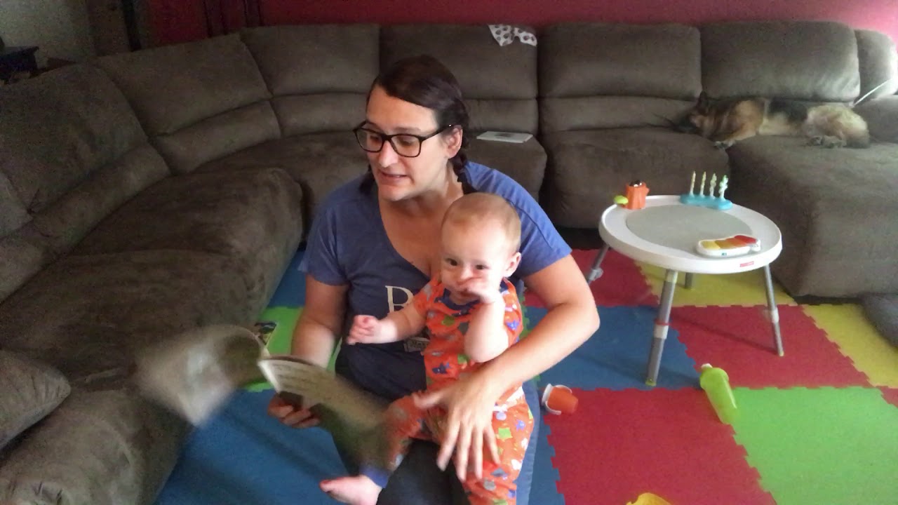 The Library Lady @ SeA Hurricane Flo Read Aloud 1 - YouTube