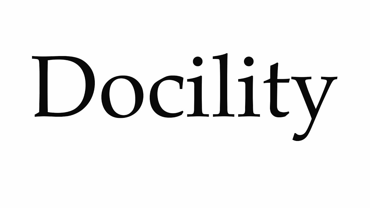 How to Pronounce Docility - YouTube