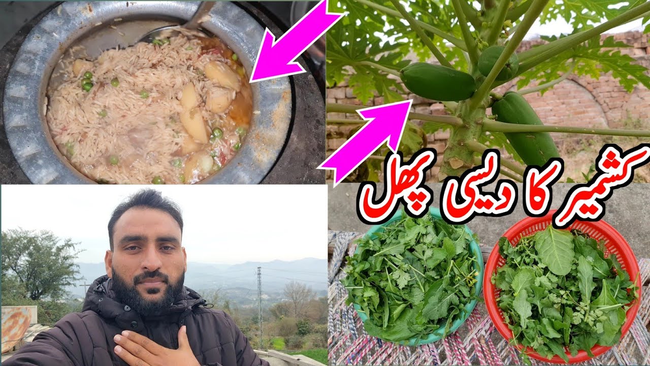 The Indigenous Fruit Of Kashmir | It is Raining In Kashmir Today ...