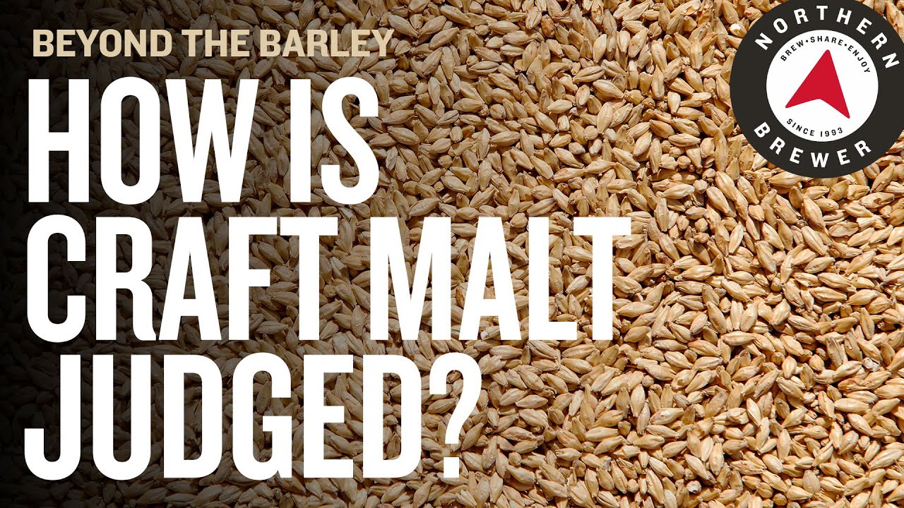 How Craft Malt is Judged and Awarded - YouTube
