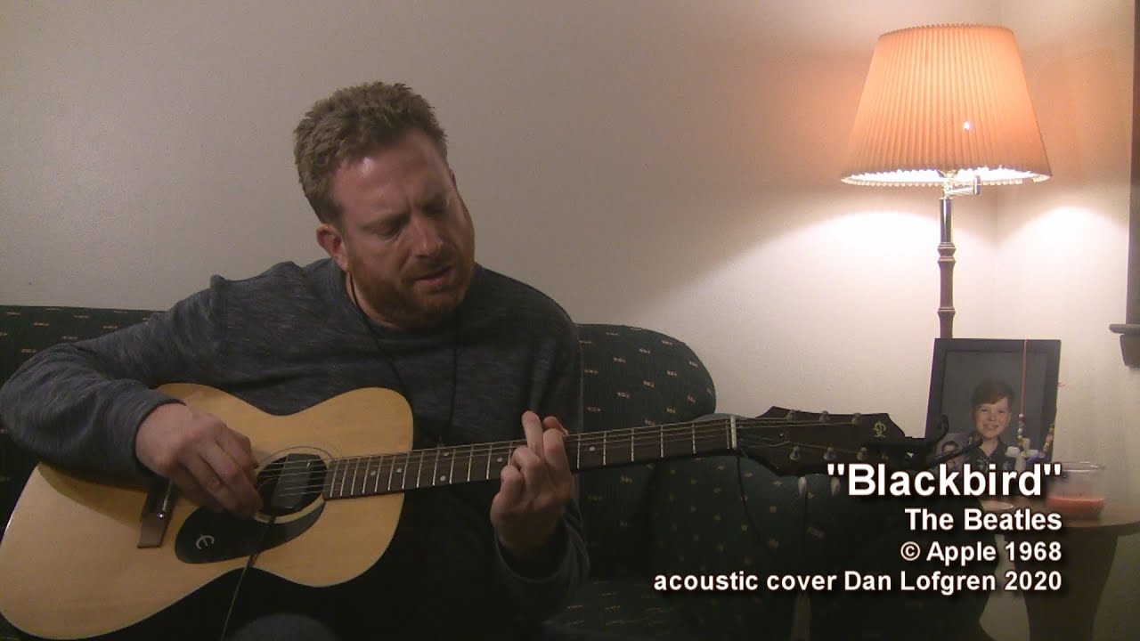 Blackbird - The Beatles acoustic guitar cover Dan Lofgren 2020 - YouTube