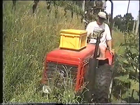 Aargauer Wein - Ein Lehrfilm über den Schweizer Weinanbau, die Herstellung und noch vieles mehr.