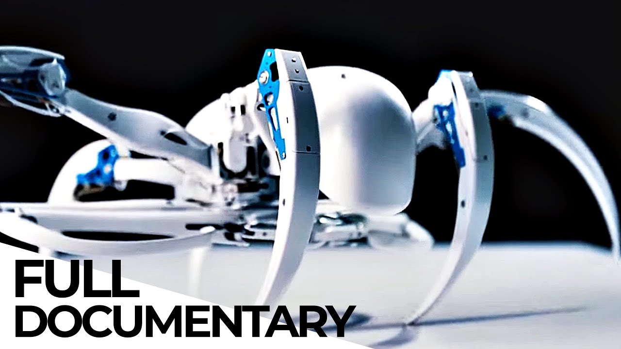 Robo Dogs, Robo Spiders: Modern Robotic Engineering based on Animals ...