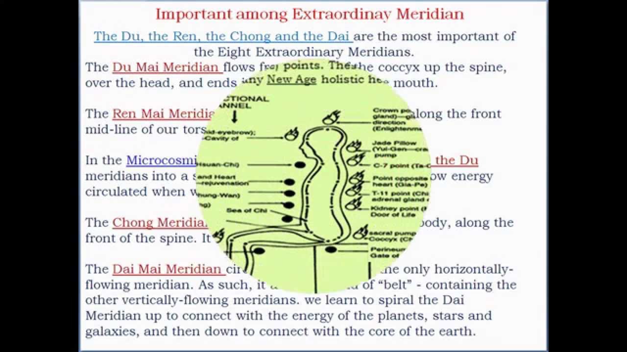 Dr. P. Sivagnanam's Eight ExtraOrdinary Meridians Presentation. - YouTube