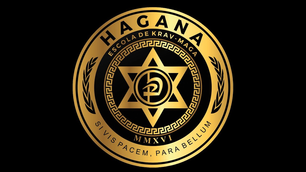 KRAV MAGA HAGANA UNIDADE ANHEMBI - YouTube