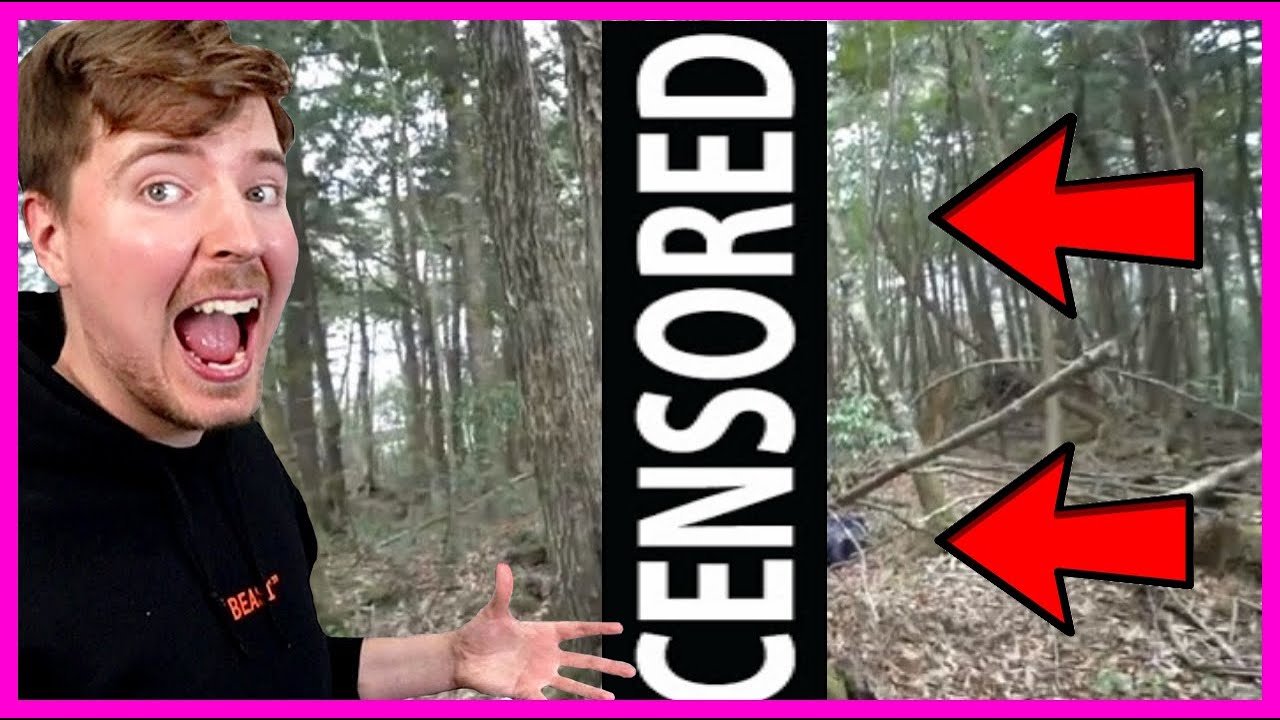 MrBeast finds DEAD BODY (REUPLOAD) (GRAPHIC CONTENT) - YouTube