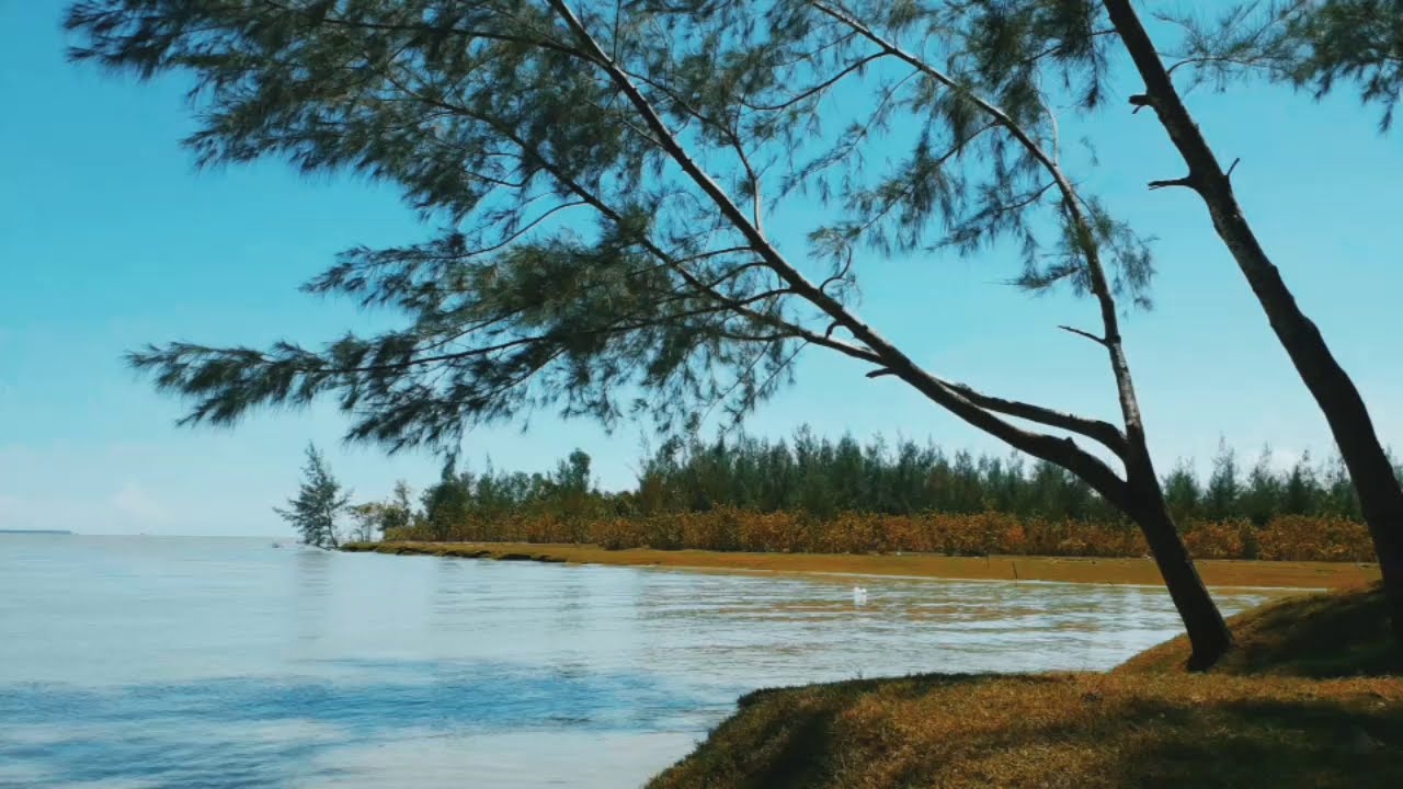 Haringhata | Patharghata,Barguna. #Nature #Haringhata #Barguna #BeautyofBangladesh - YouTube