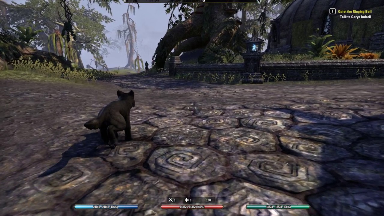 ESO: I'm a Wolf Pup? - YouTube