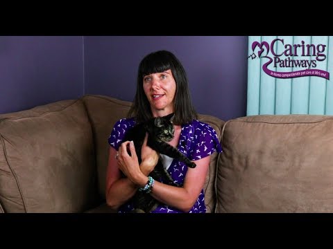 Meet our Grief Support Specialist: Mandi Browning - YouTube