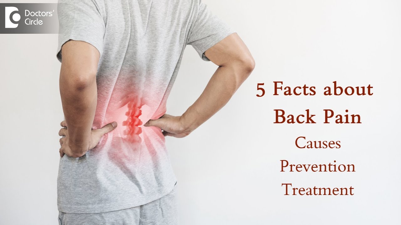5 Facts about Back Pain | Causes, Prevention & Treatment - Dr. Vinay R ...