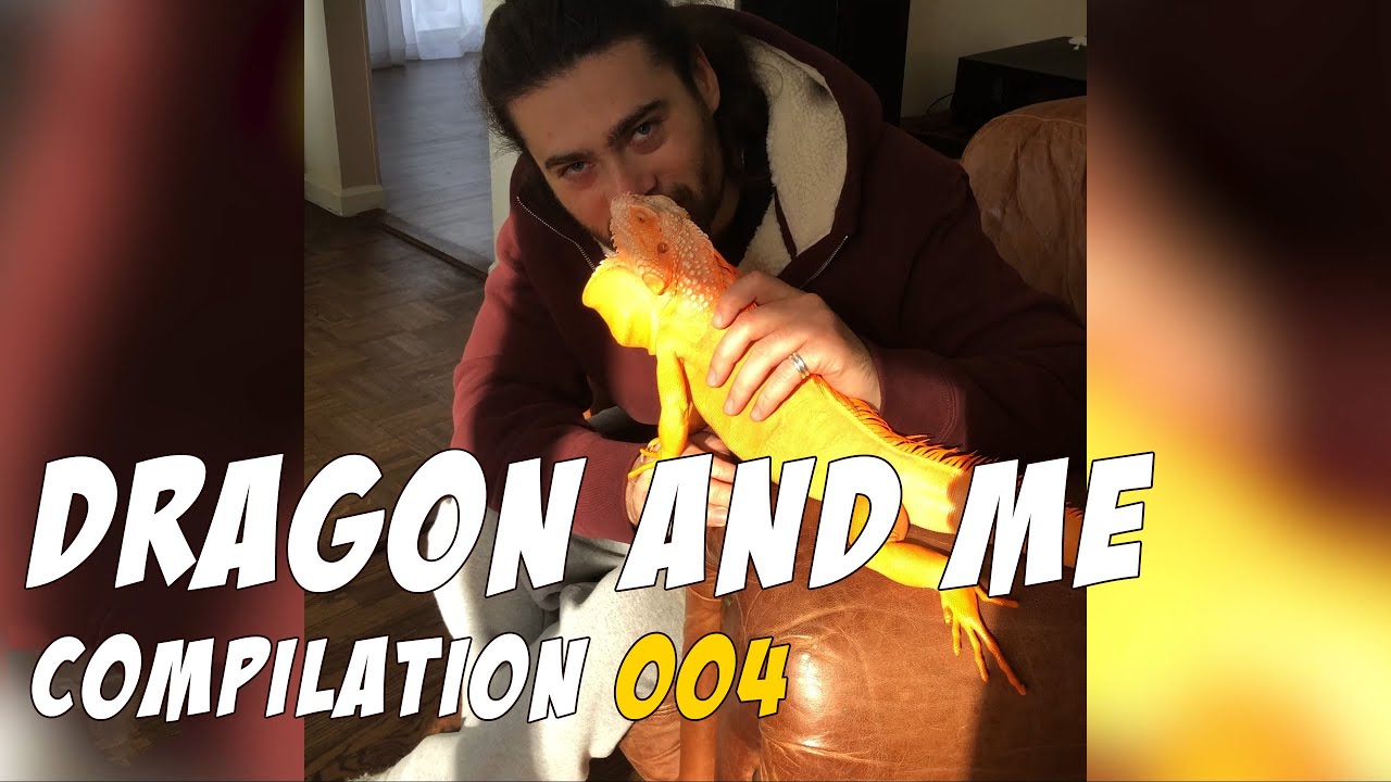 Dragon and Me - Compilation 004 - YouTube