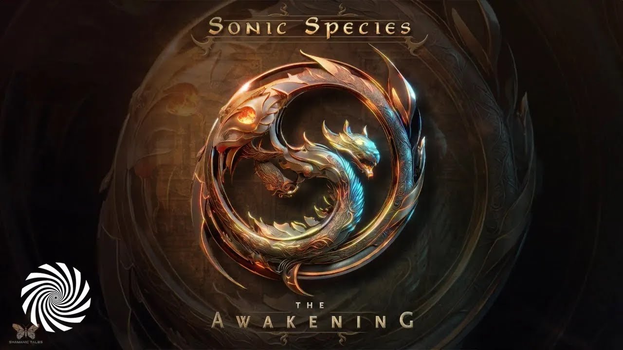 Sonic Species - Echoes In Eternity - YouTube