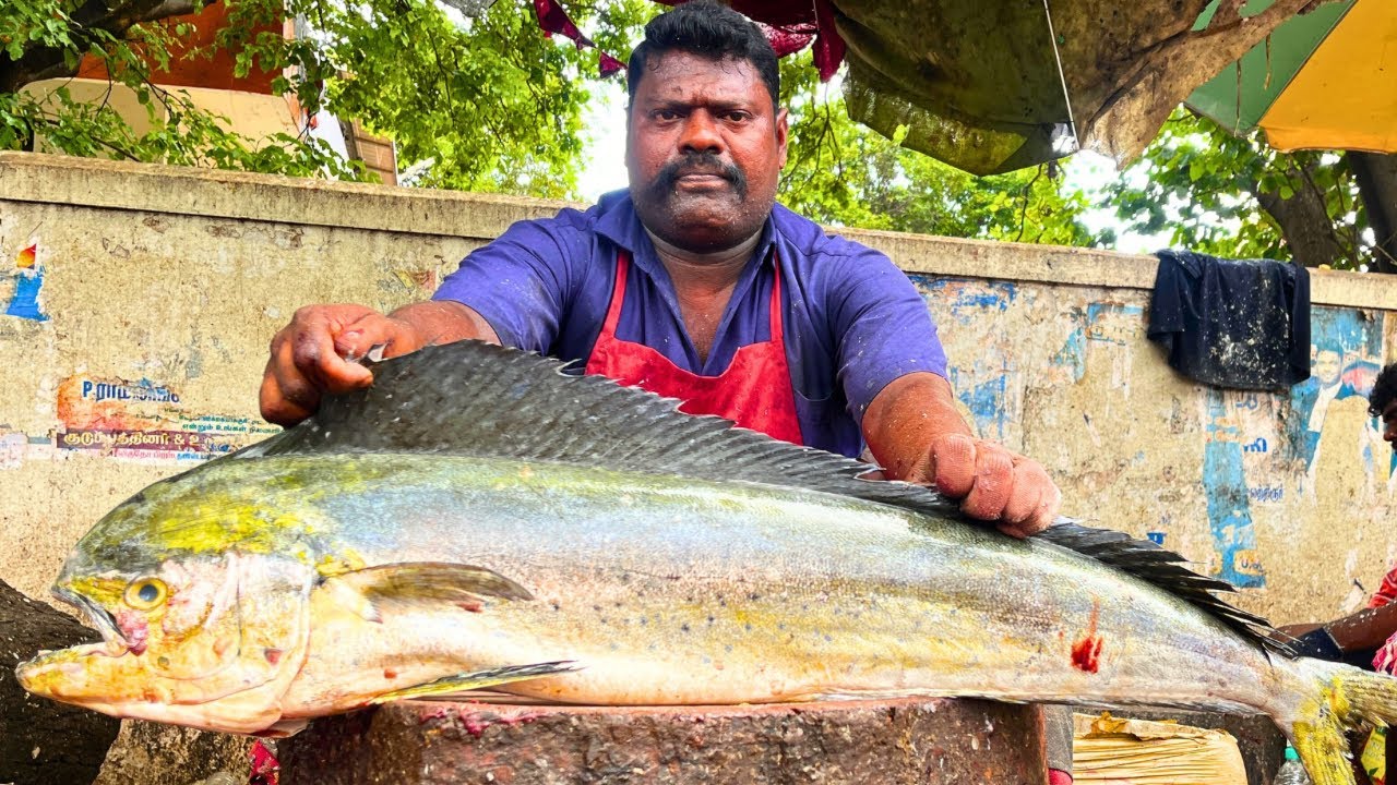 KASIMEDU SPEED SELVAM MAHI MAHI PARLA FISH CUTTING VIDEO / cutting ...