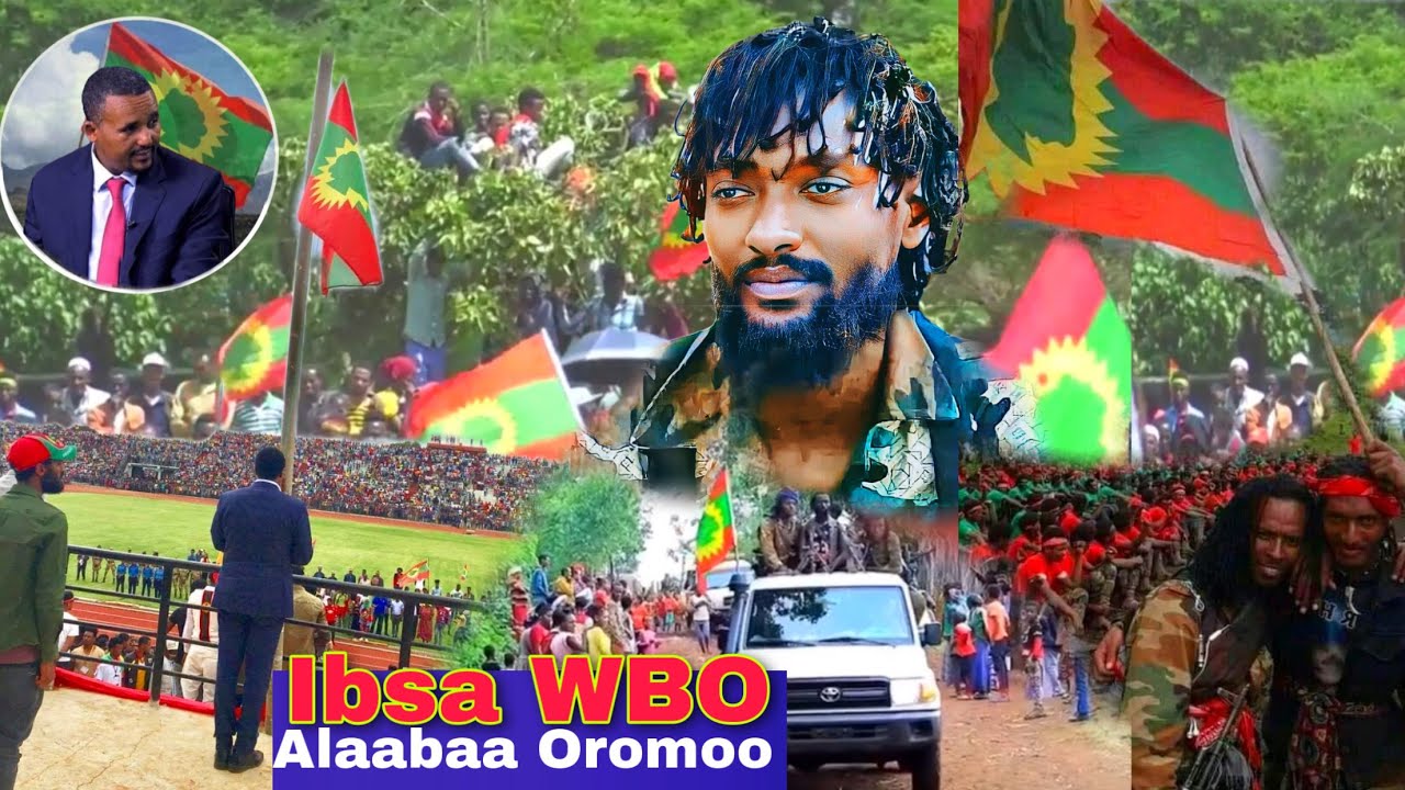 Alaabaan Kan Ummataati Ibsa Ajajaa Olaanaa Waboo fi Gabaasa Injifnnoo ...
