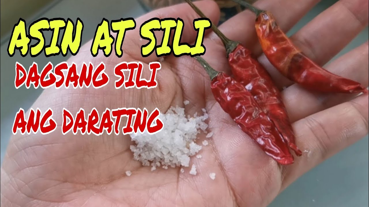 ASIN AT SILI DAGSANG SILI ANG DARATING-APPLE PAGUIO1 - YouTube