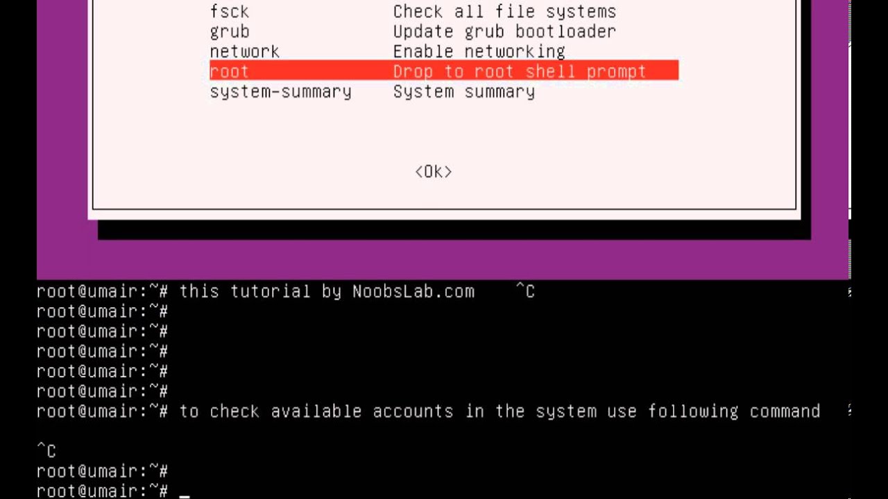 Reset Your Forgotten Password Quickly Ubuntu Linux Mint And Ubuntu Derivatives YouTube reset-your-forgotten-password-quickly-ubuntu-linux-mint-and-ubuntu-derivatives-youtube