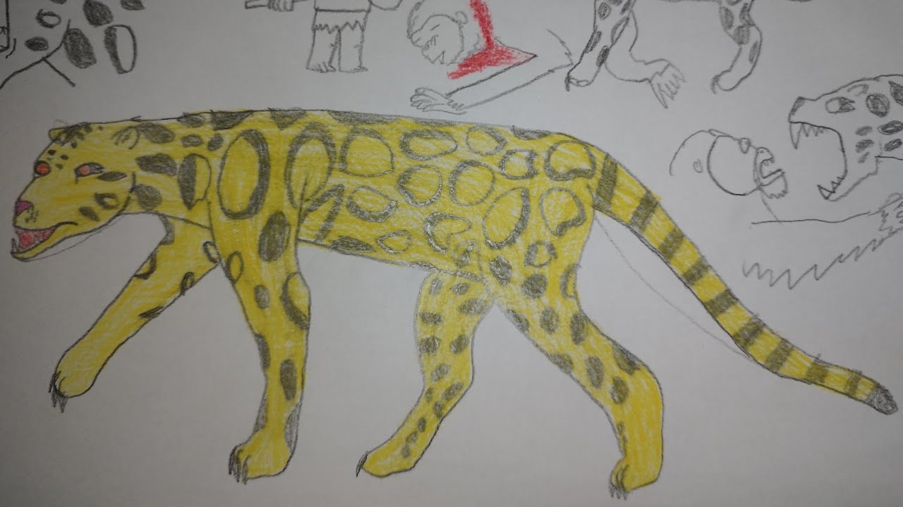 Sound Effects-Bornean Clouded Leopard - YouTube