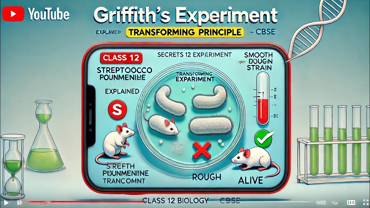Griffith Experiment l Transforming Principle l Molecular basis of ...