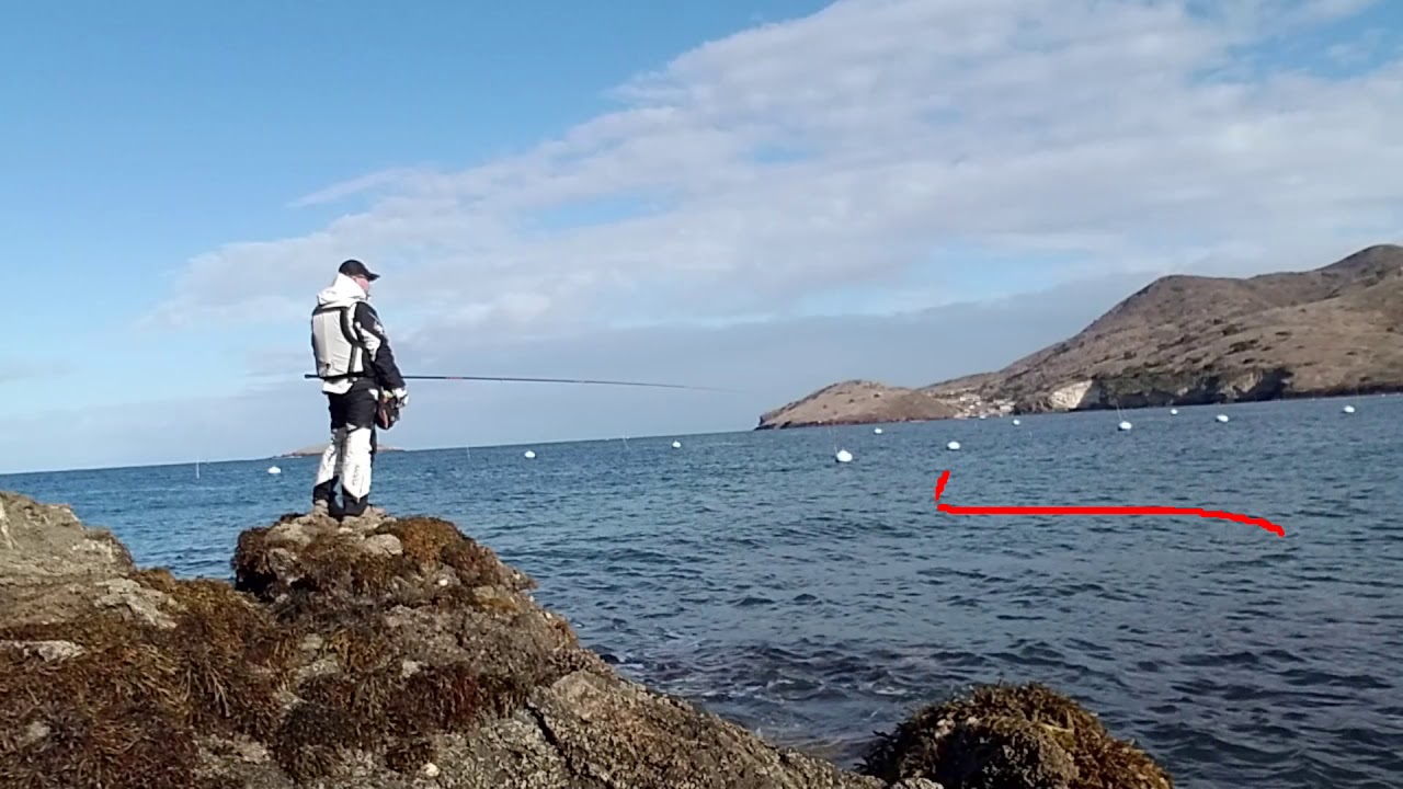 Two Harbors Fishing #138 - 1 siama California 벵에돔 낚시 - YouTube