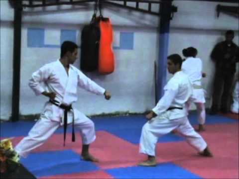 Shotokan Karate Palestine ENPI Kata & Bunkai - YouTube