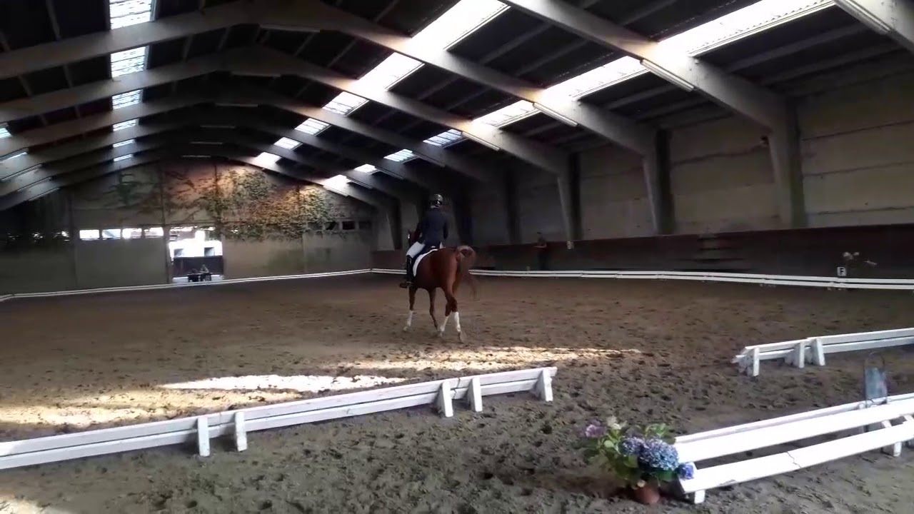 Elena Karambol HSP - YouTube