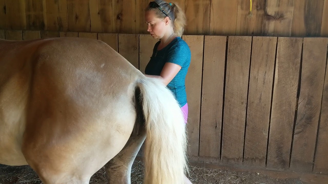 Rekka move and clean feet - YouTube