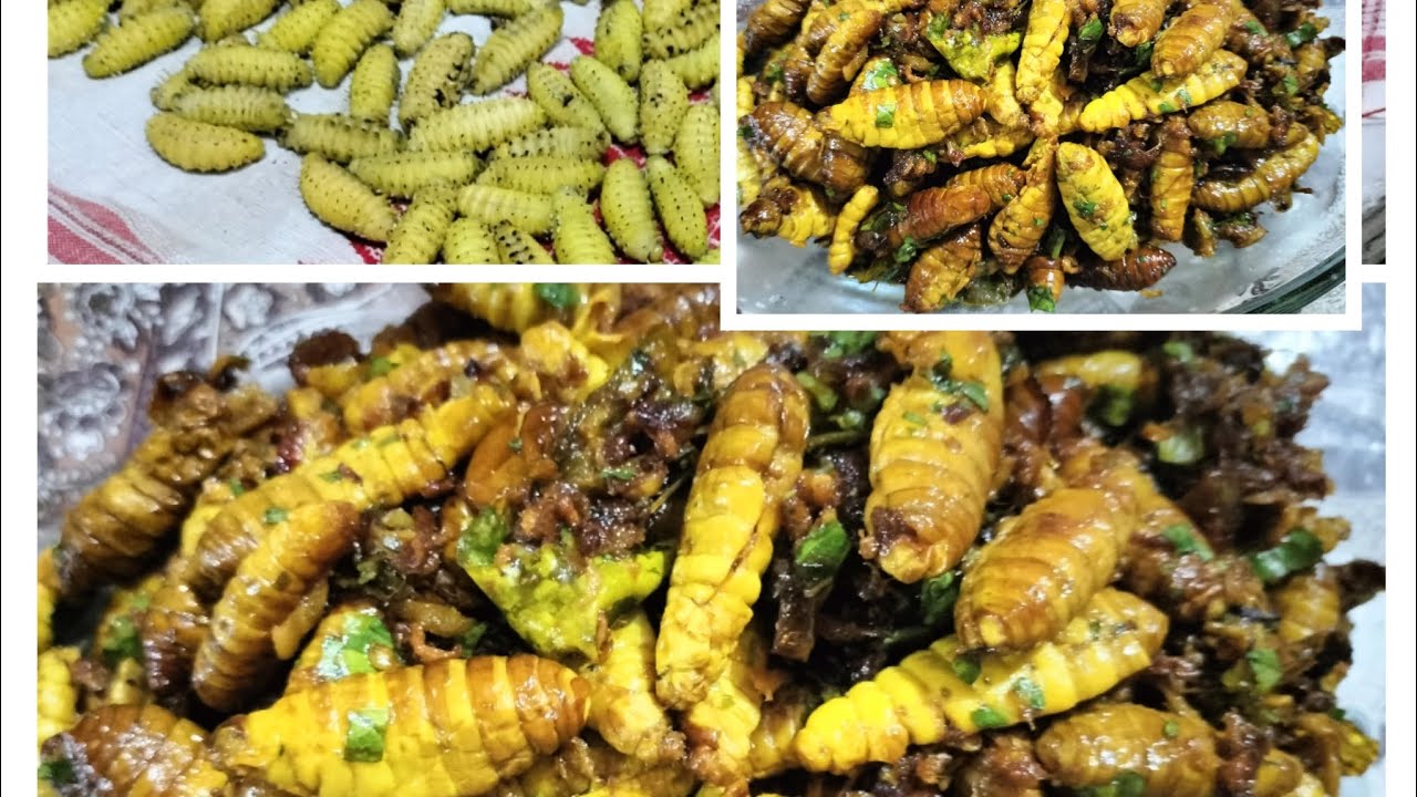 Silkworm । polu leta recipe । পলু লেটা - YouTube