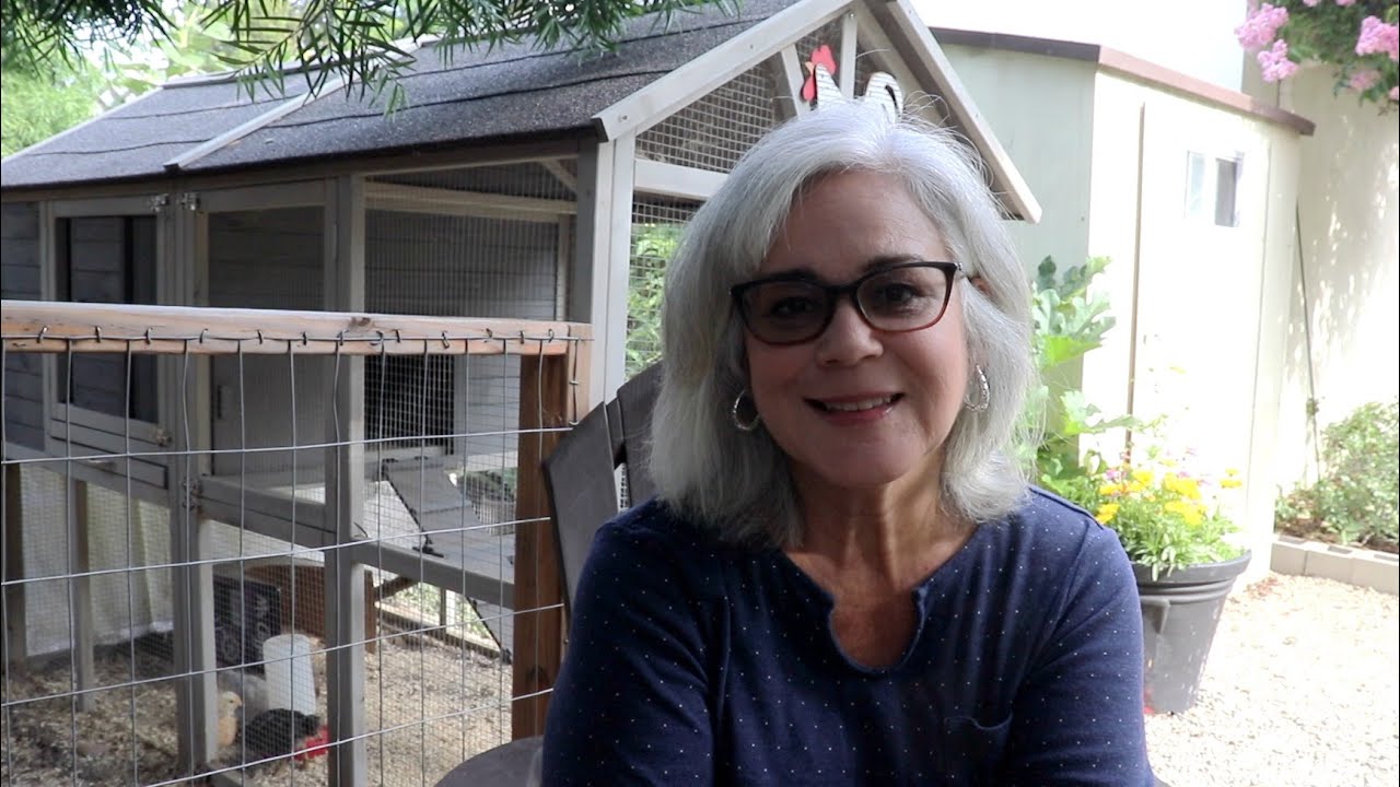 Homestead Tour | Small Space Gardening | Backyard Chickens - YouTube