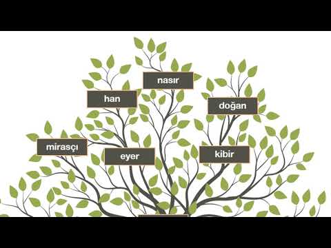 Akıllı Kız - Dinleme Metni- 7. SINIF TÜRKÇE DERS KİTABI