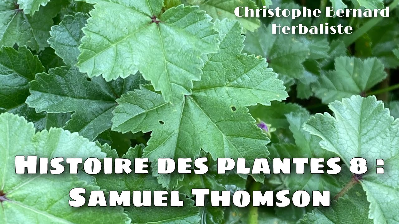 Histoire des plantes 9 : Samuel Thomson - YouTube