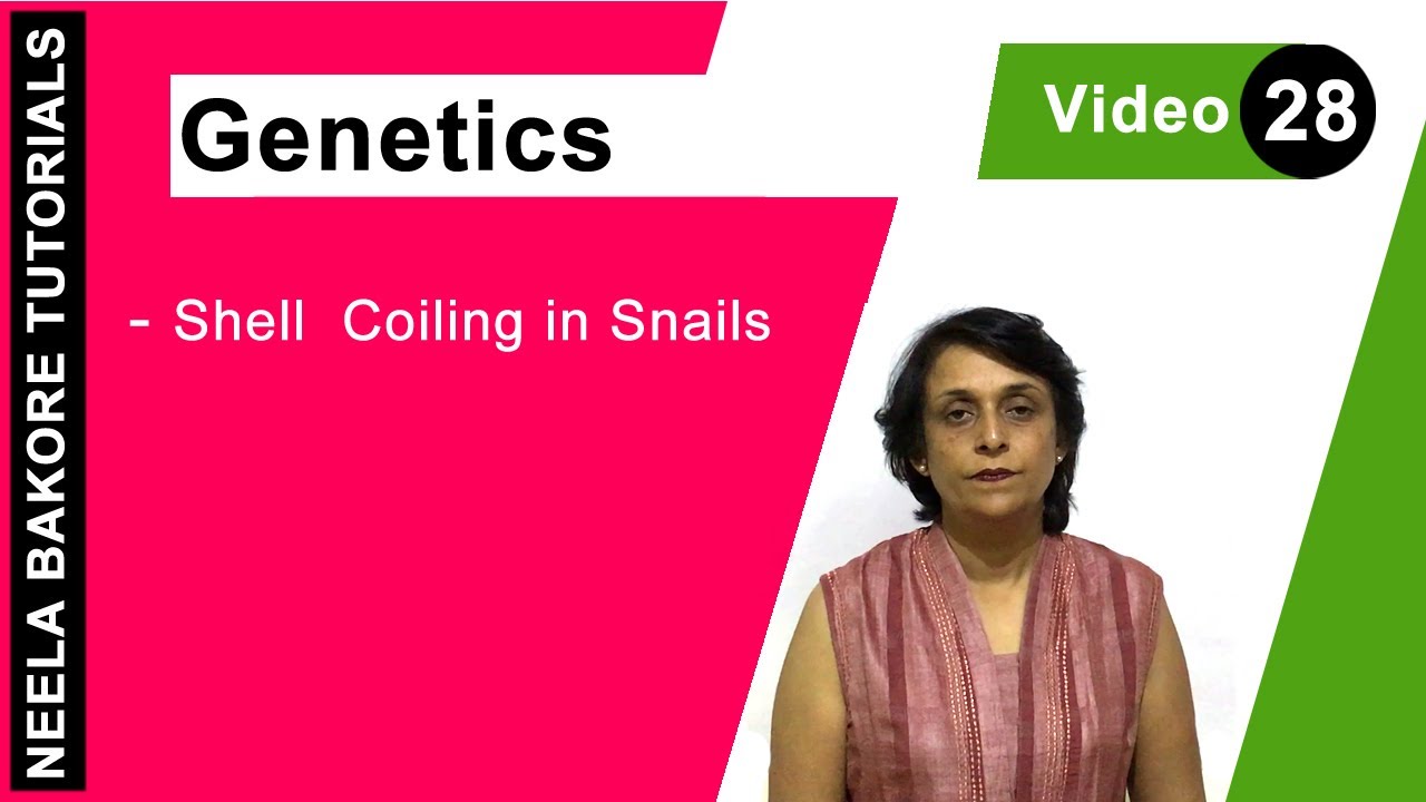 Genetics - Principles of Inheritance & Variations | NEET | Shell ...