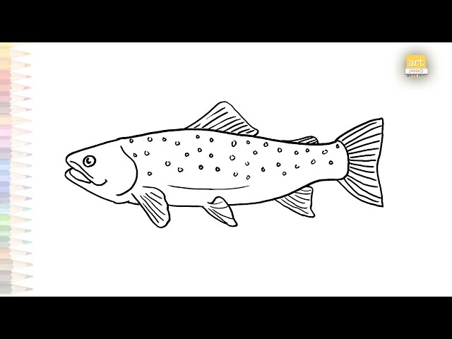 Trout Fish Outline