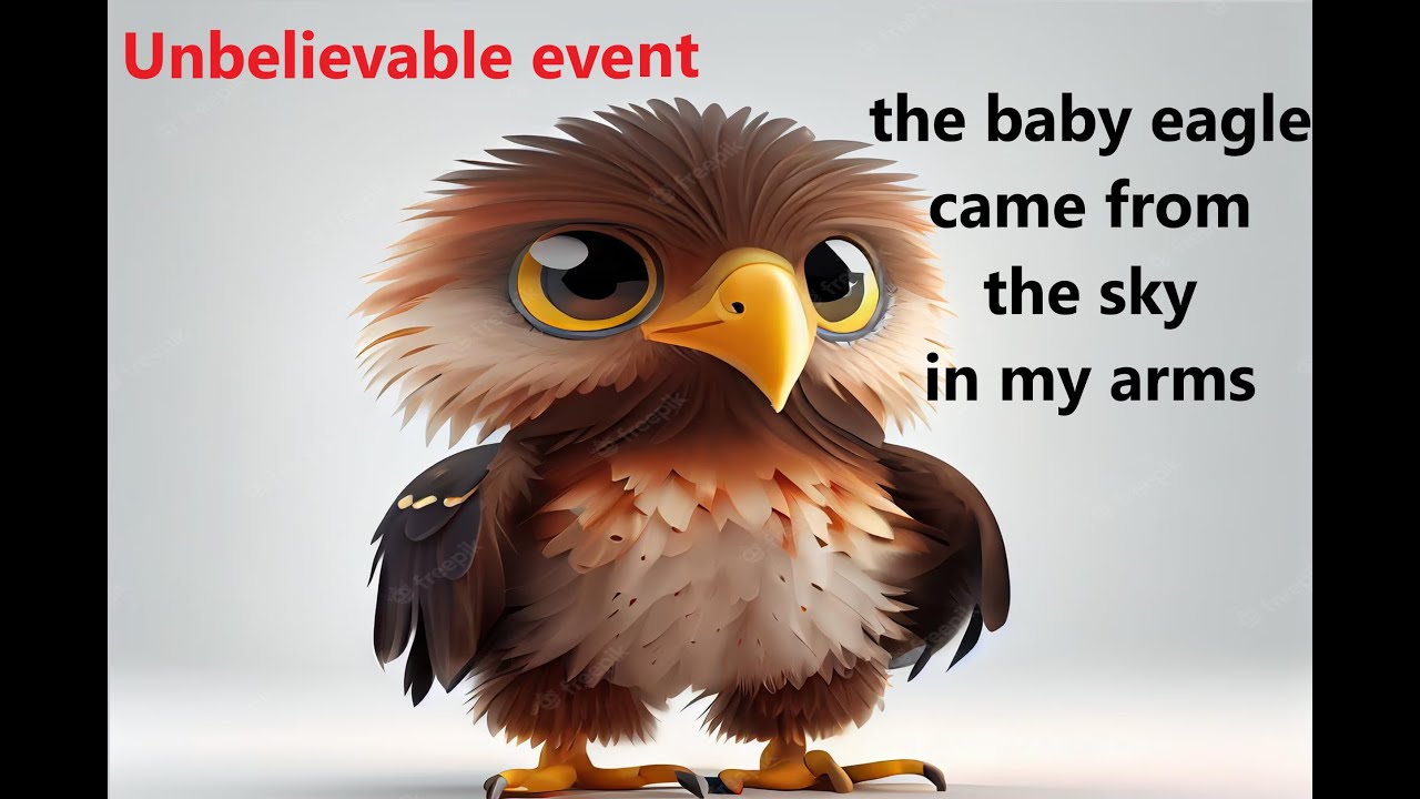 Unbelievable event the eagle came from the sky in my arms eagle event eagle in my arms eagle ...