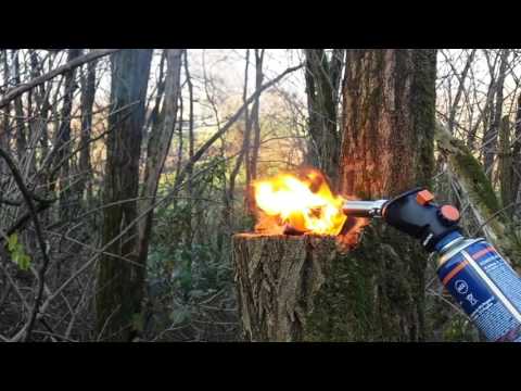 Gas Torch vs Mouse