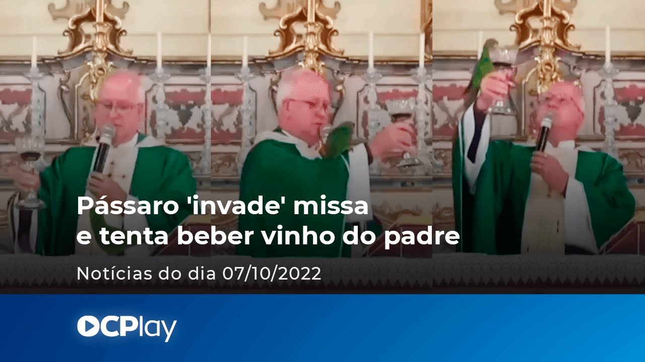 Pássaro 'invade' missa e tenta beber vinho do padre - YouTube