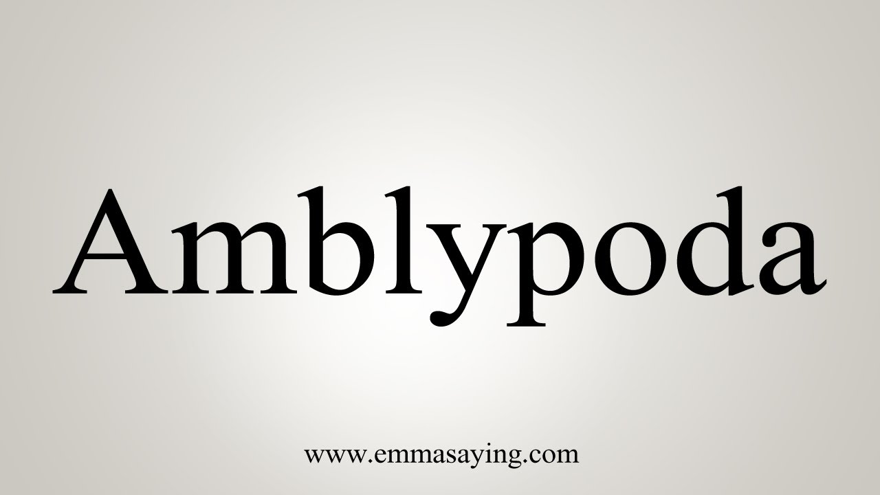 How To Say Amblypoda - YouTube