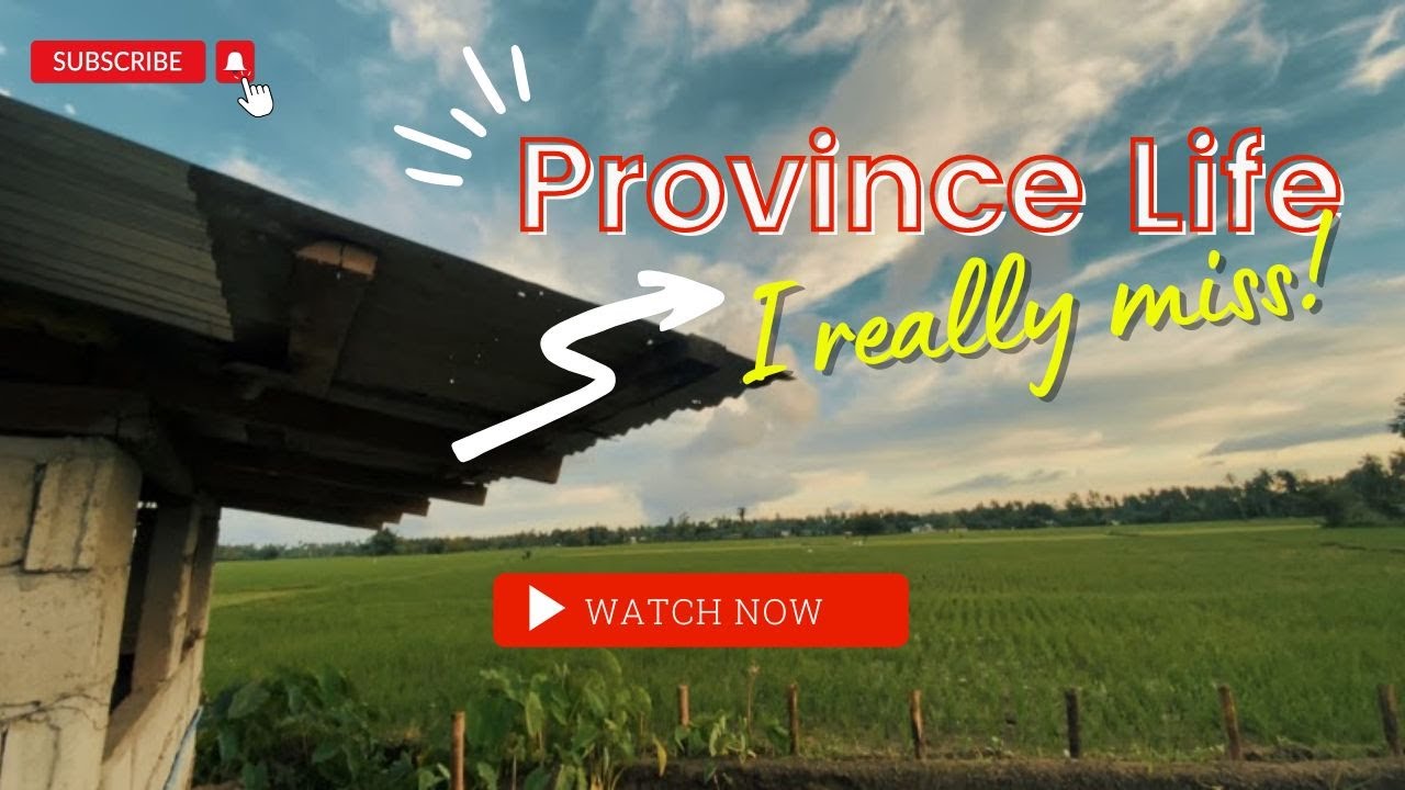 Province Life - YouTube