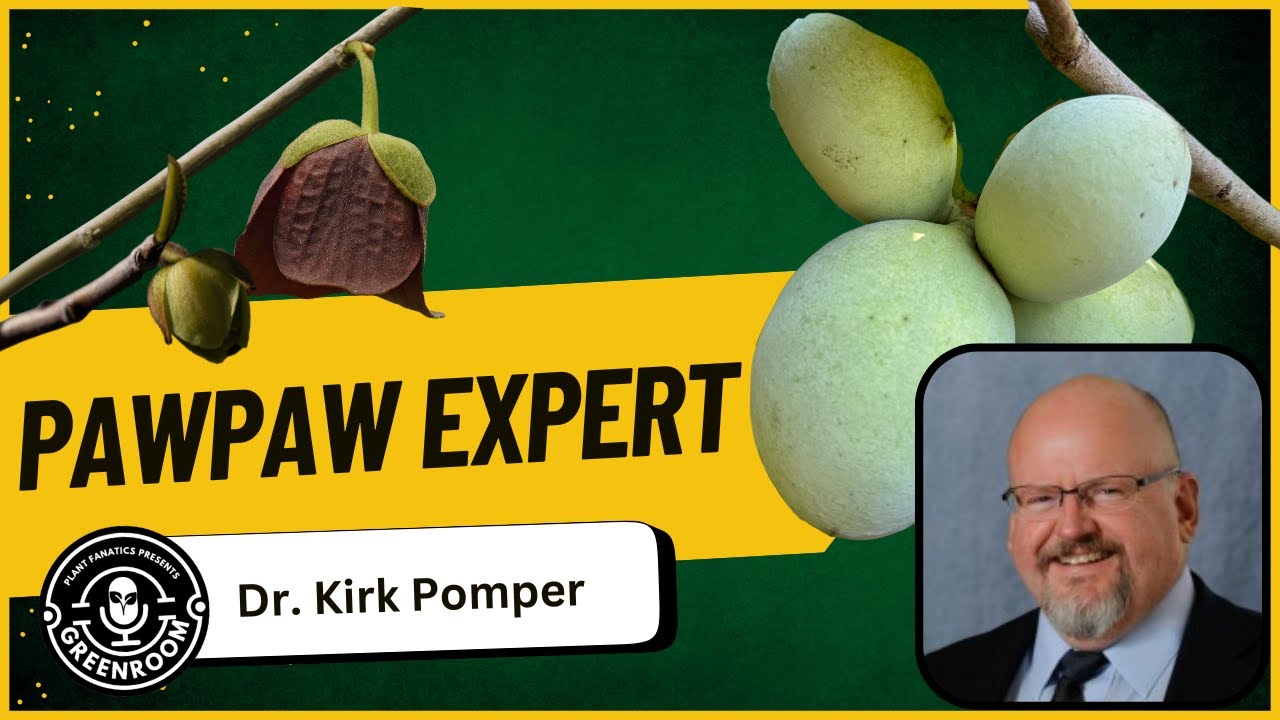 All About Pawpaw: Growing, Harvesting, and Eating America’s Forgotten ...