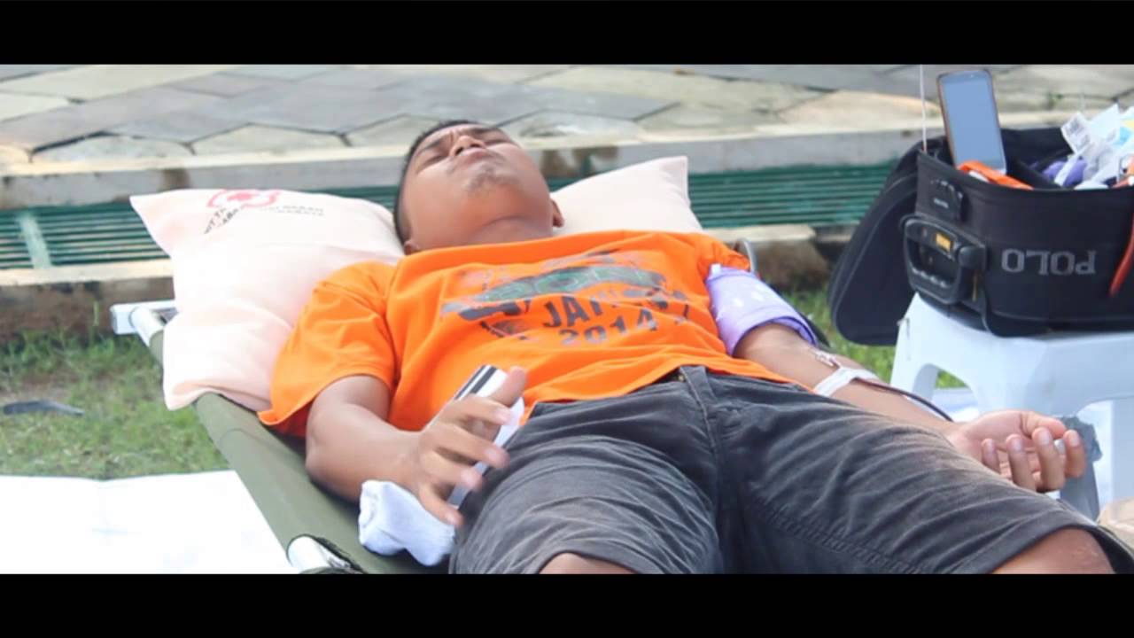 Chernival Social Project: It's a Healthy Life - YouTube