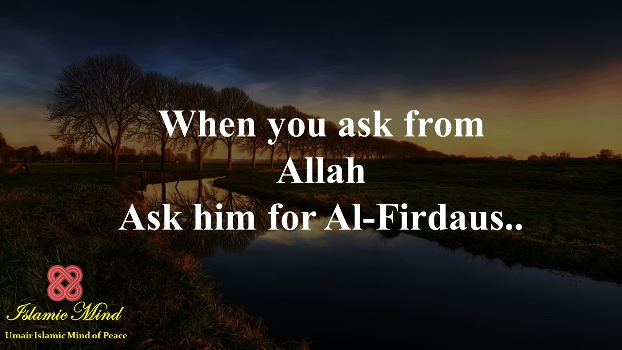 When you ask from Allah..ask him for Al-Firdaus | Beautiful Islamic ...
